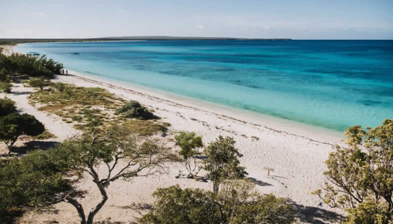 Descubre el Ecoturismo en República Dominicana: 7 Experiencias ...